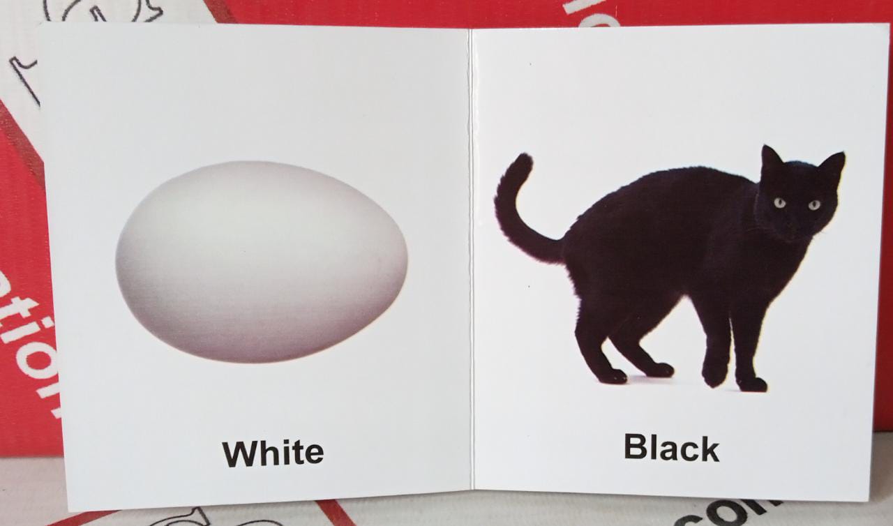 My Mini Opposites Board Book – Children Publications