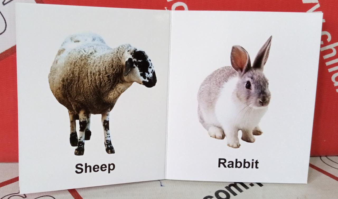 My Mini Farm Animals Board Book – Children Publications