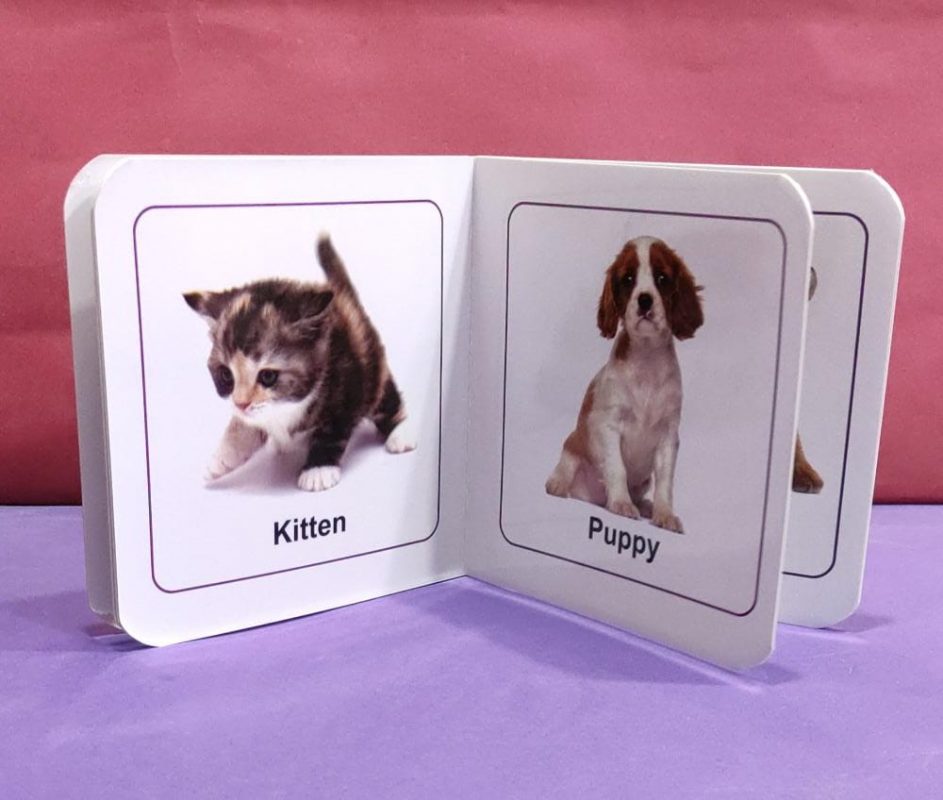 My Little Baby Animals Board Book – Children Publications