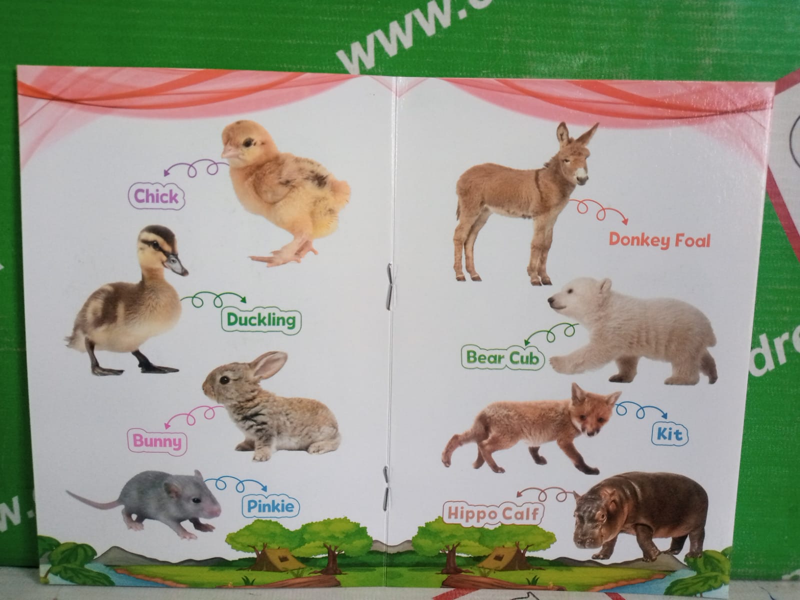 Baby Animals ( Qaiday ) – Children Publications