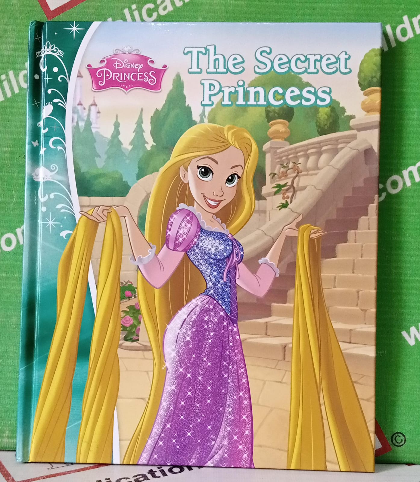 Disney Princess The Secret Princess – Children Publications