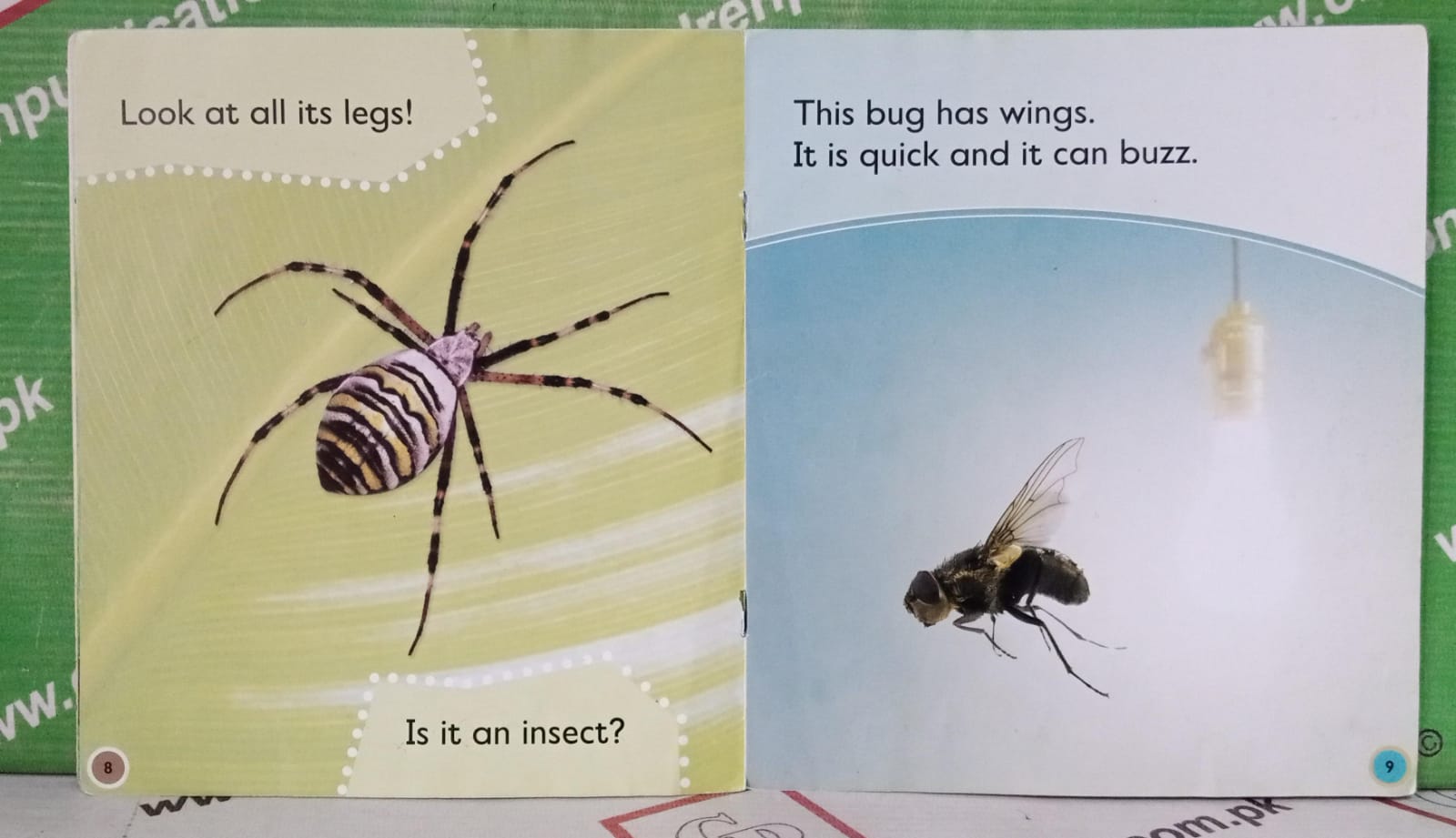 Oxford Reading Tree Bug Quiz – Children Publications