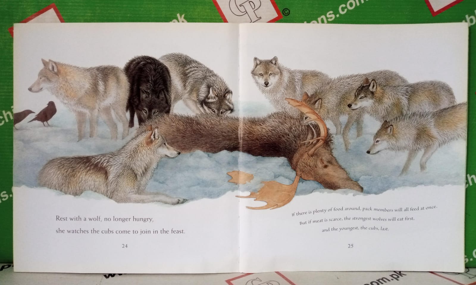 Walk With A Wolf ( Janni Howker ) – Children Publications