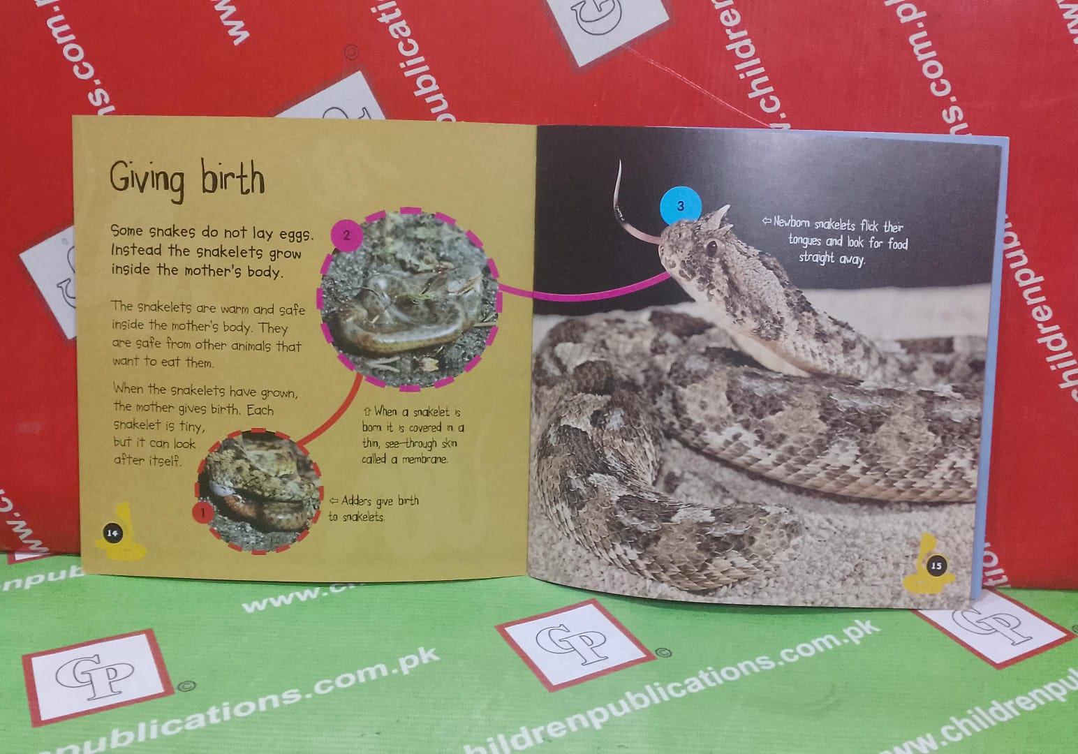 Snaklet to Snake – Children Publications