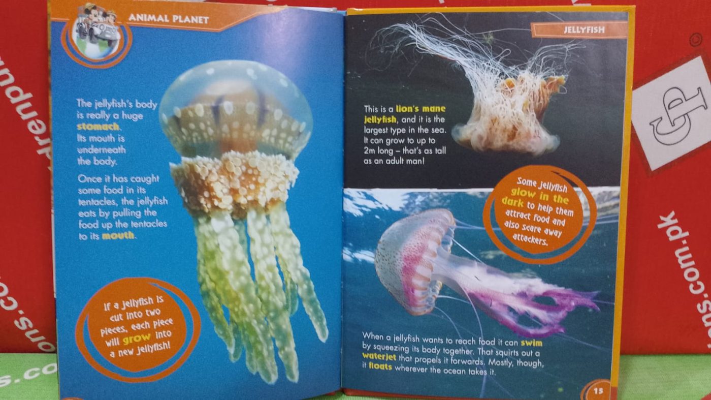 Disney Animal World – Children Publications