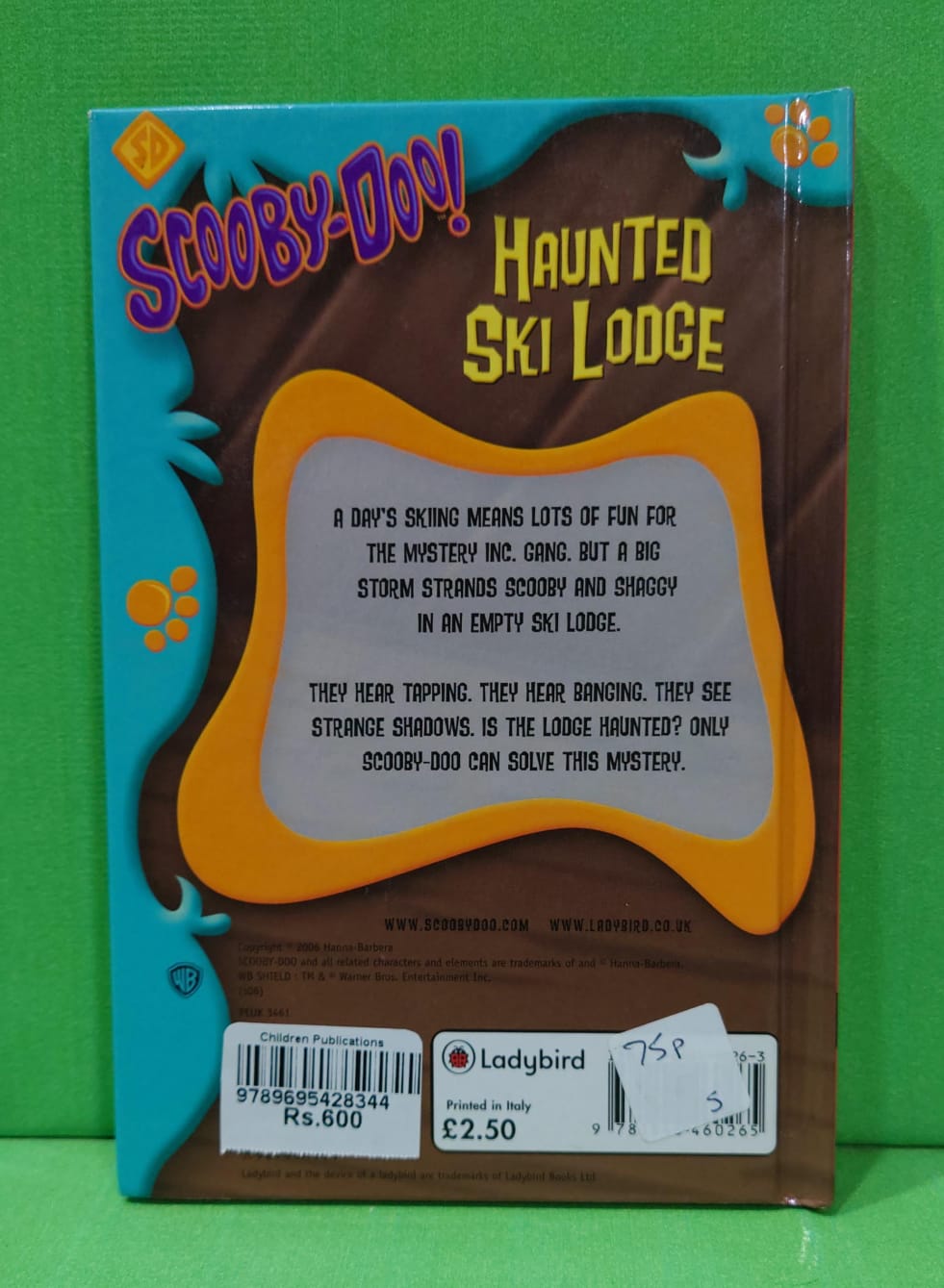 Scooby Doo Haunted Ski Lodge – Children Publications