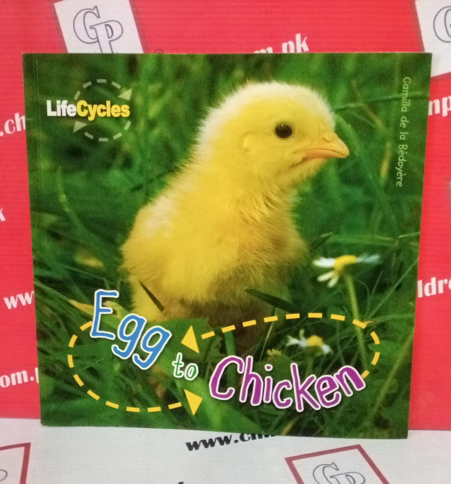 Egg To Chicken – Children Publications