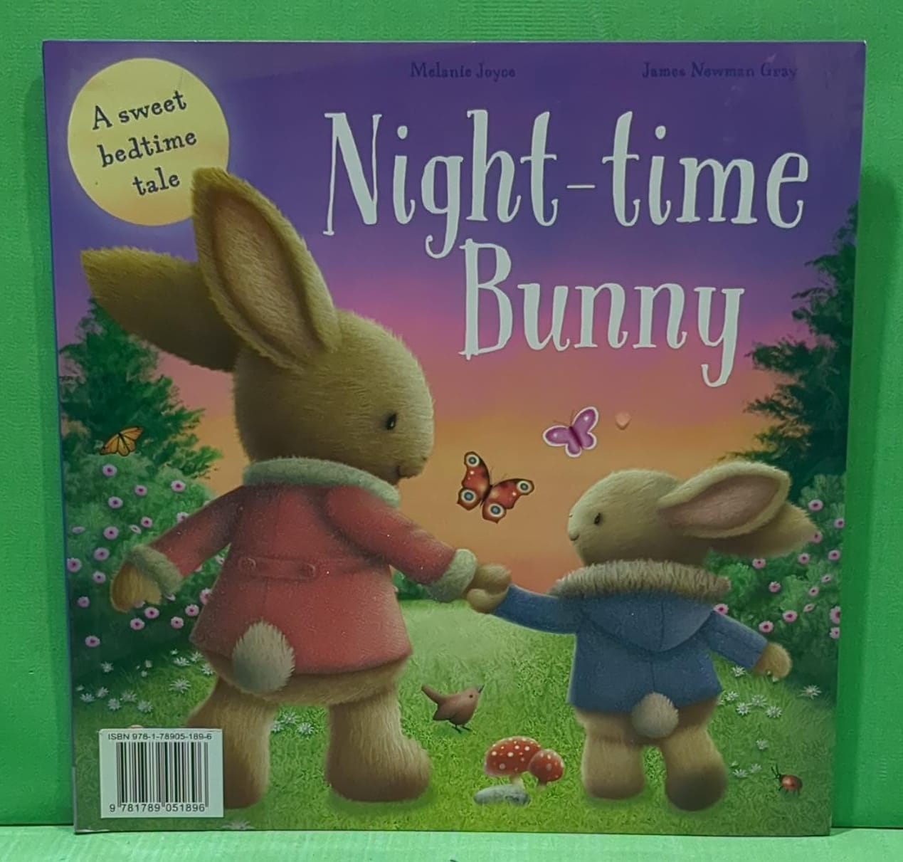 Night time Bunny – Children Publications