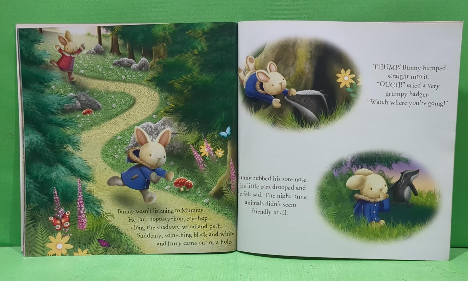 Night time Bunny – Children Publications