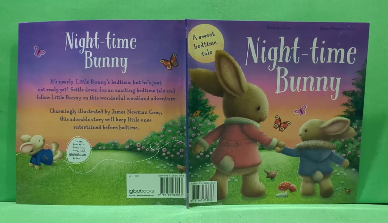 Night time Bunny – Children Publications